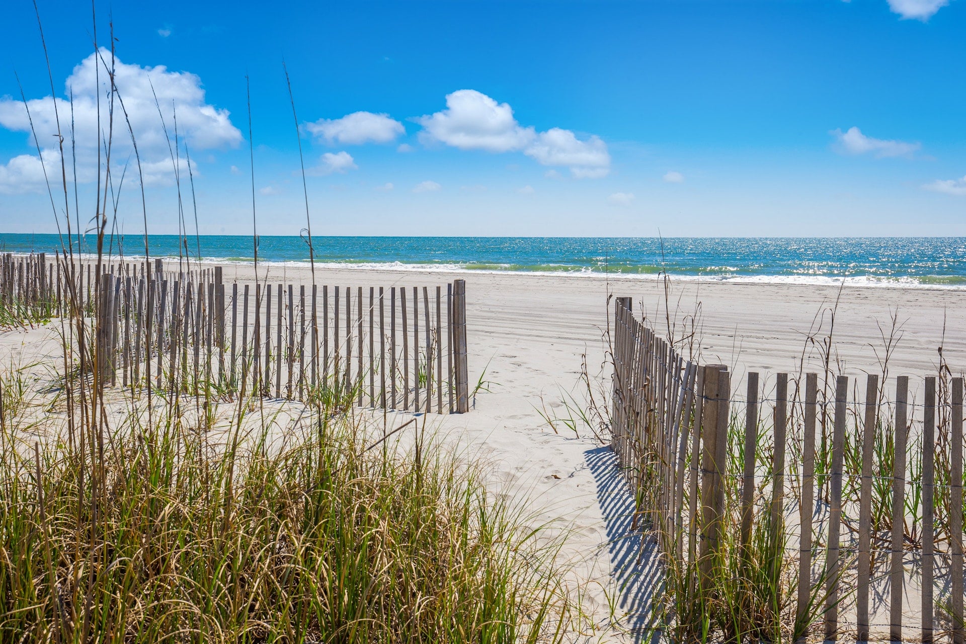 The Ultimate Beach Day Itinerary: Sun, Sand, and Fun at Myrtle Beach
